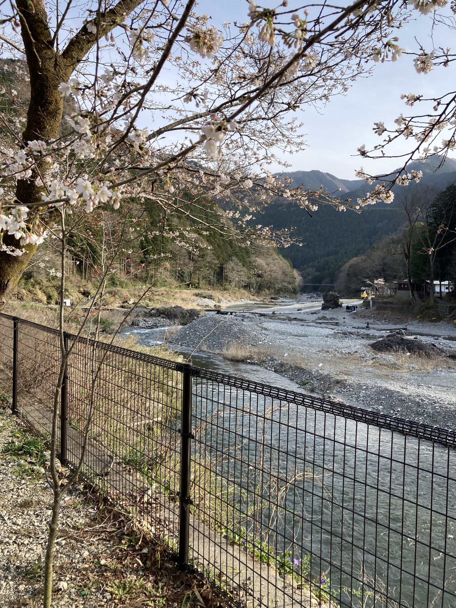 奥多摩フィッシングセンターへ行ってきました | Pletry（プレトリー）